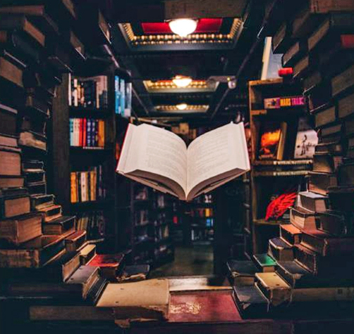 Fogli di Carta: Un libro per salvare i libri – Padova Sorprende