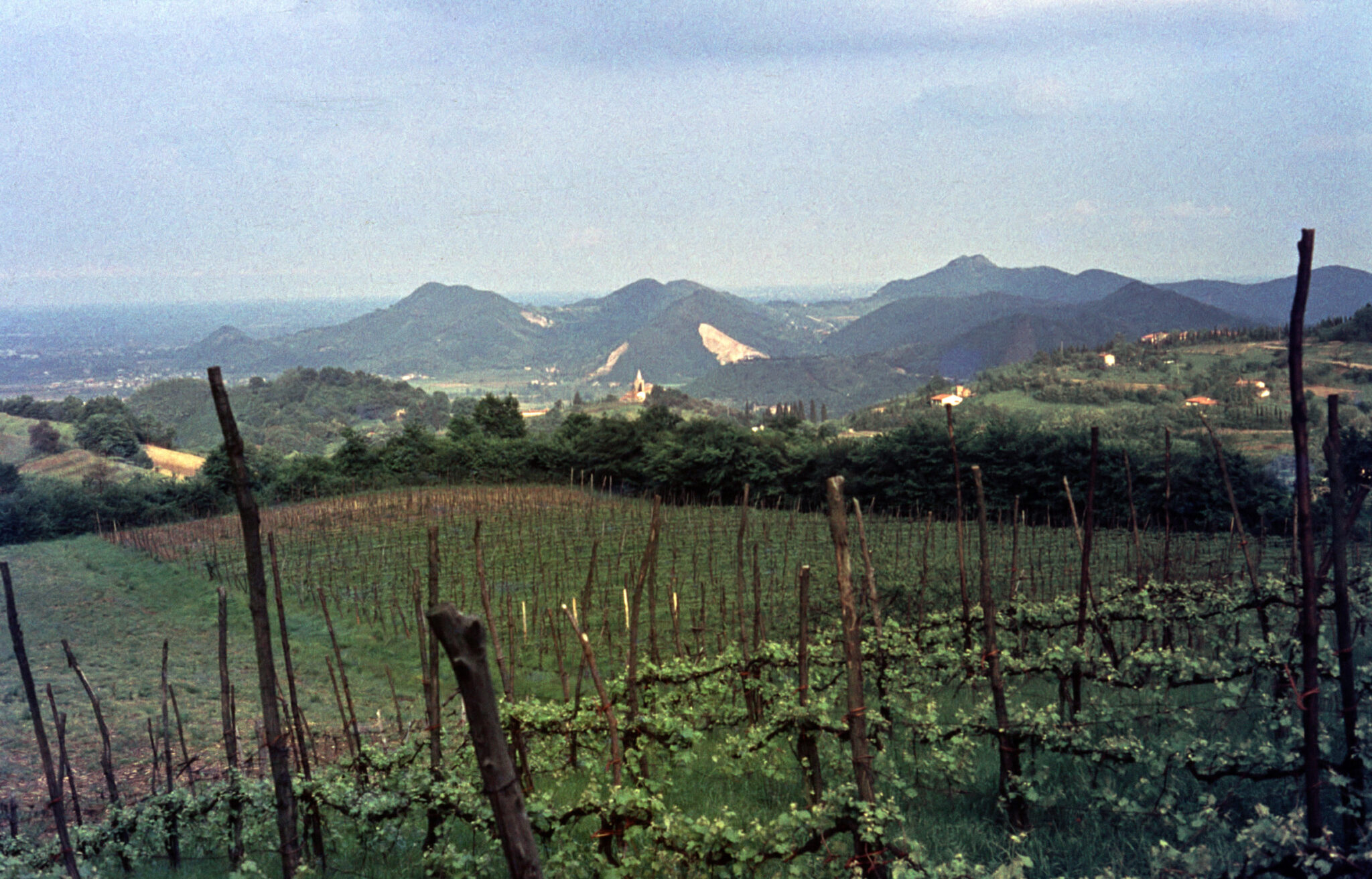 I Colli Euganei – Padova Sorprende