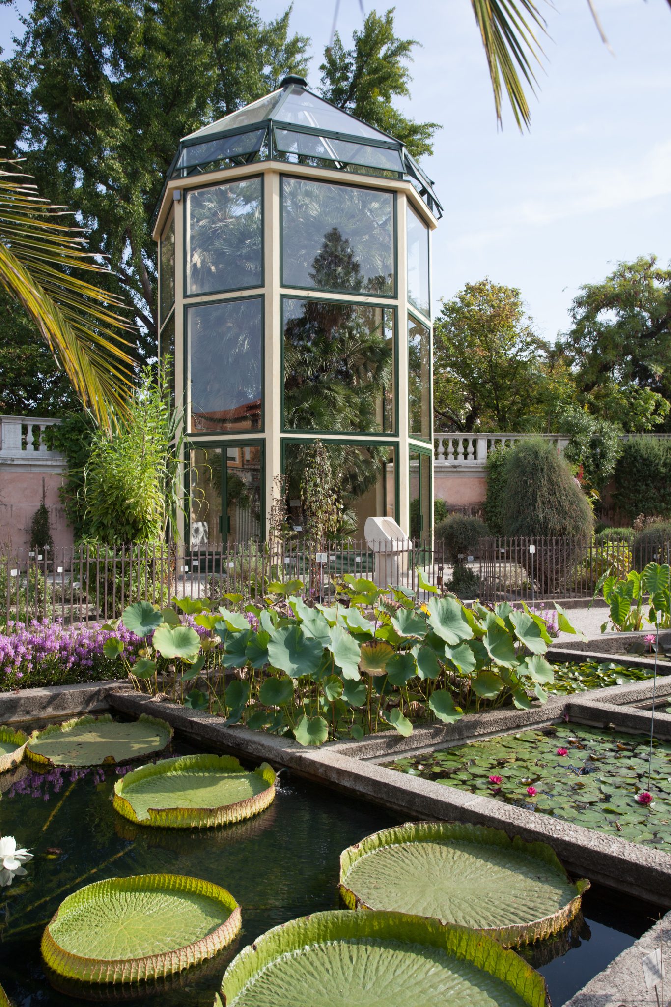 L’Orto botanico di Padova – Padova Sorprende